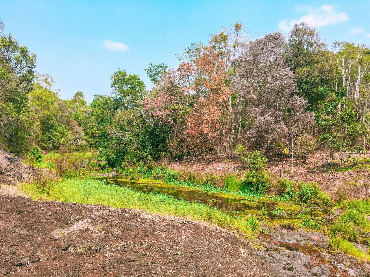 Here's How to Visit Nimbin on a Day Trip from Byron Bay!