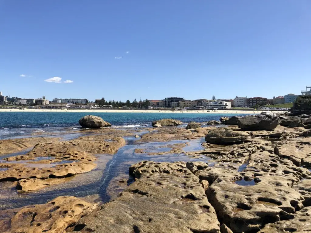 The 10 Best Things To Do In Bondi, Sydney