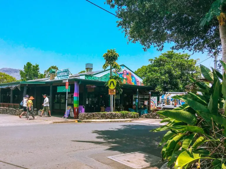 Here's How to Visit Nimbin on a Day Trip from Byron Bay!